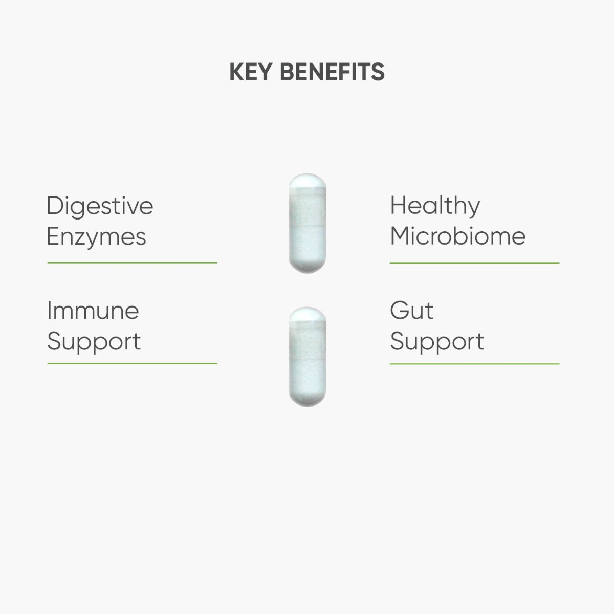 Probiotic Plus 60 Capsules with Live Bacteria | Metagenics UK