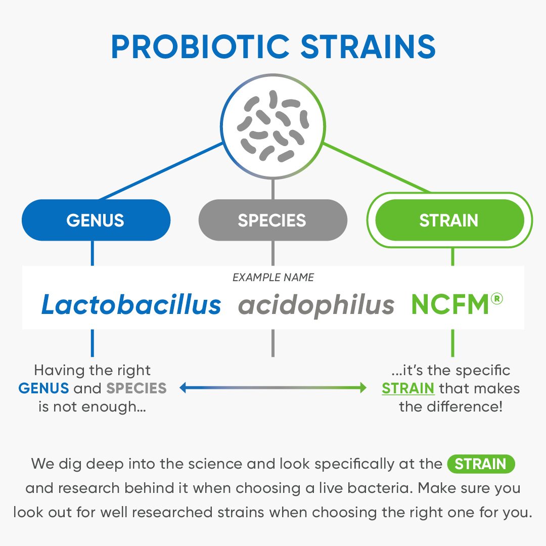 Probiotic Plus 60 Capsules with Live Bacteria | Metagenics UK